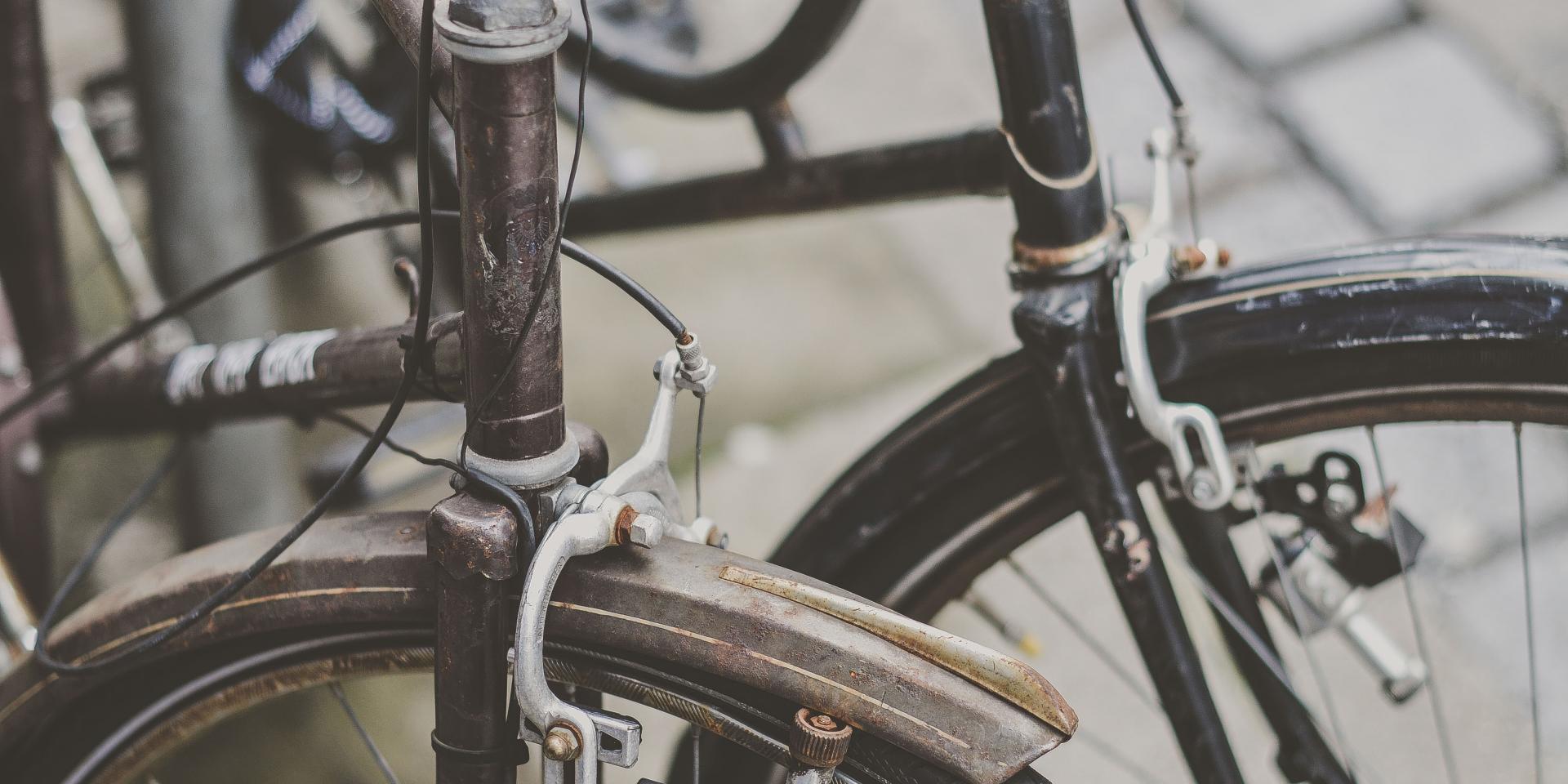 Accommodation | Destination Île de Ré