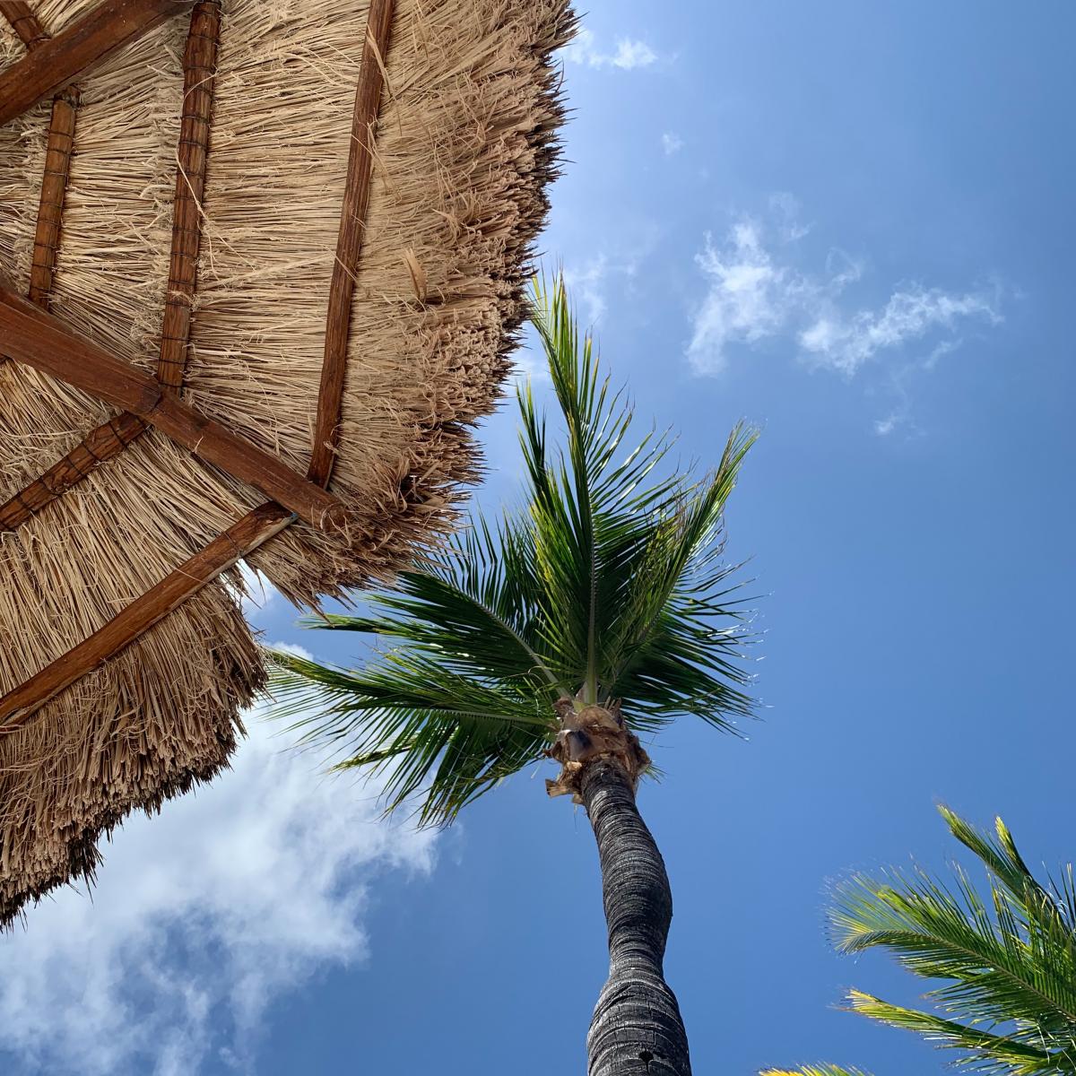 Getting to and around the Ile de Ré | Destination Île de Ré