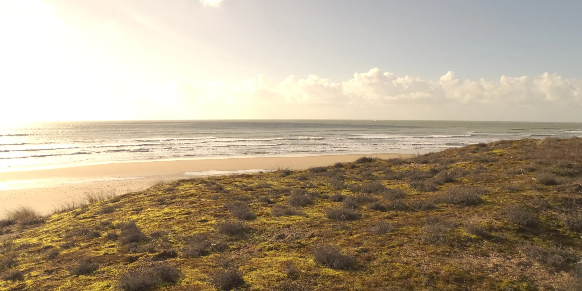Activity reports | Destination Île de Ré