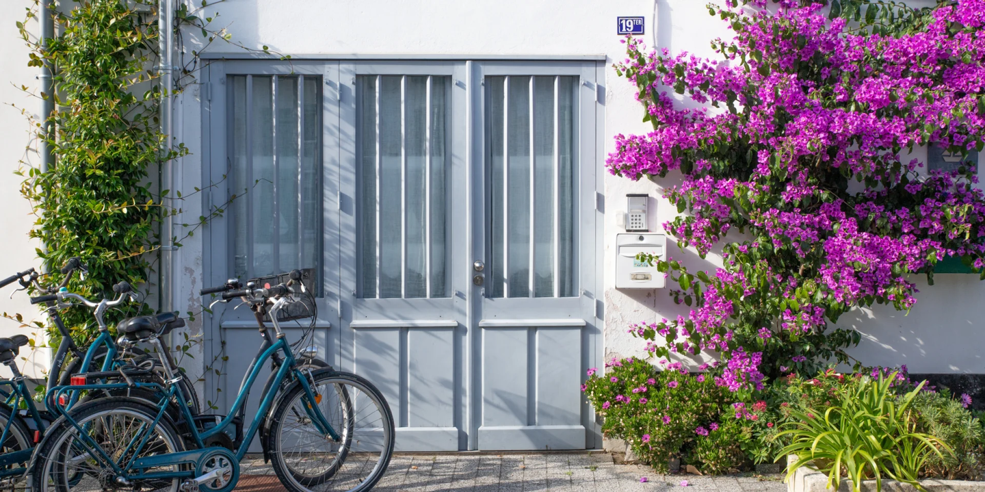 Un printemps fleuri sur l’île de Ré | Destination Île de Ré – Site ...