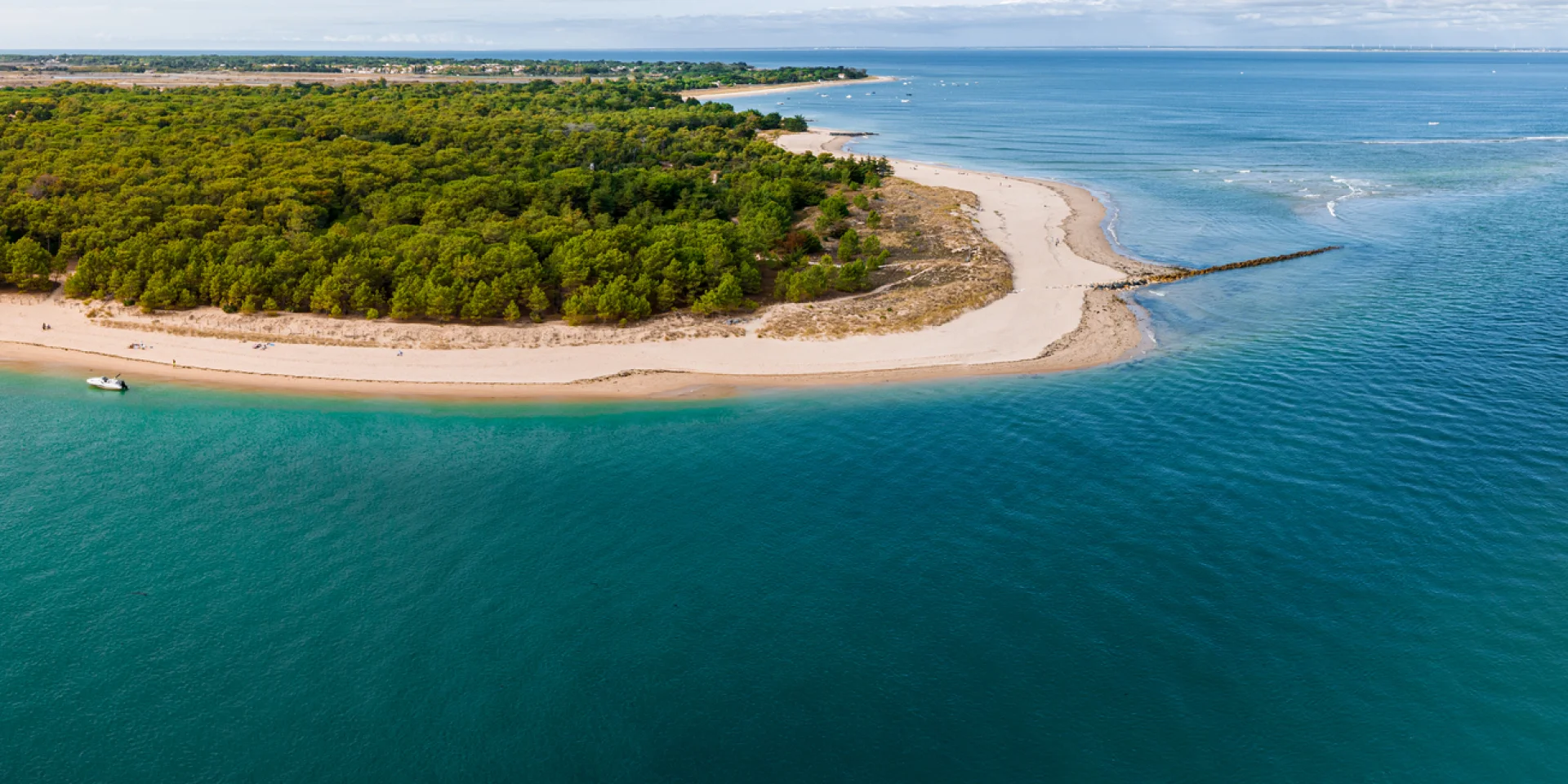 Un viaje a la orilla del mar: una aventura marítima que no debe ...