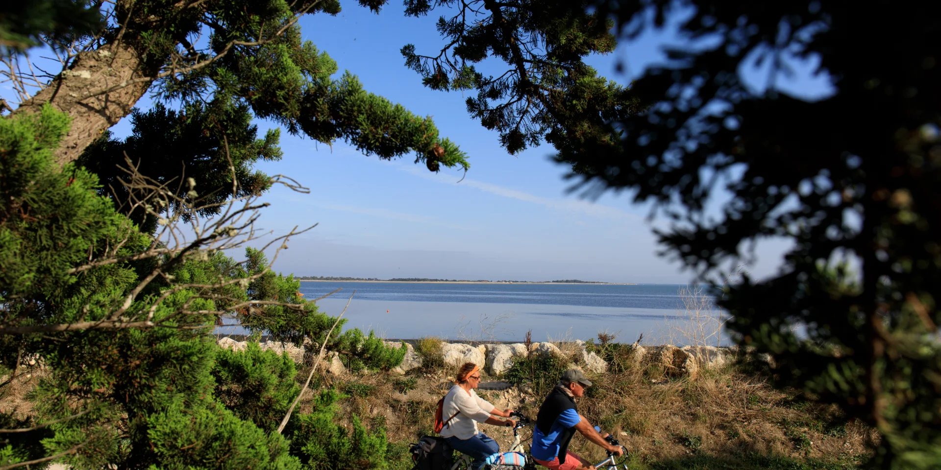 La Vélodyssée et l’île de Ré | Destination Île de Ré – Site officiel de ...