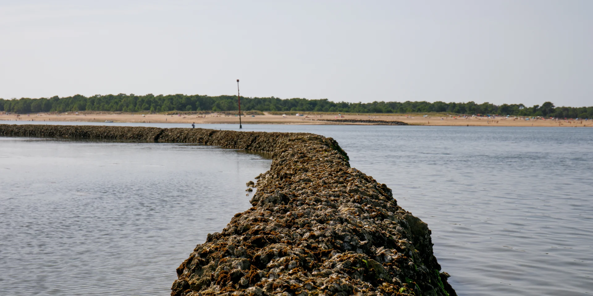Fish locks | Destination Île de Ré